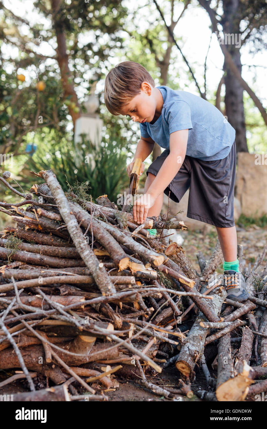 Sawing a branch tree hi-res stock photography and images - Alamy