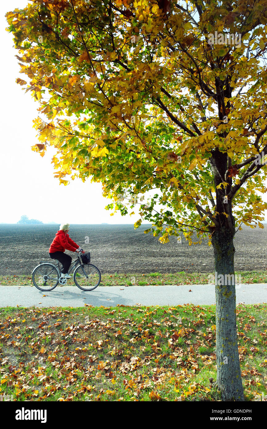 Man cycling along cycle path, Lake Balaton, Budapest,Hungary Stock ...