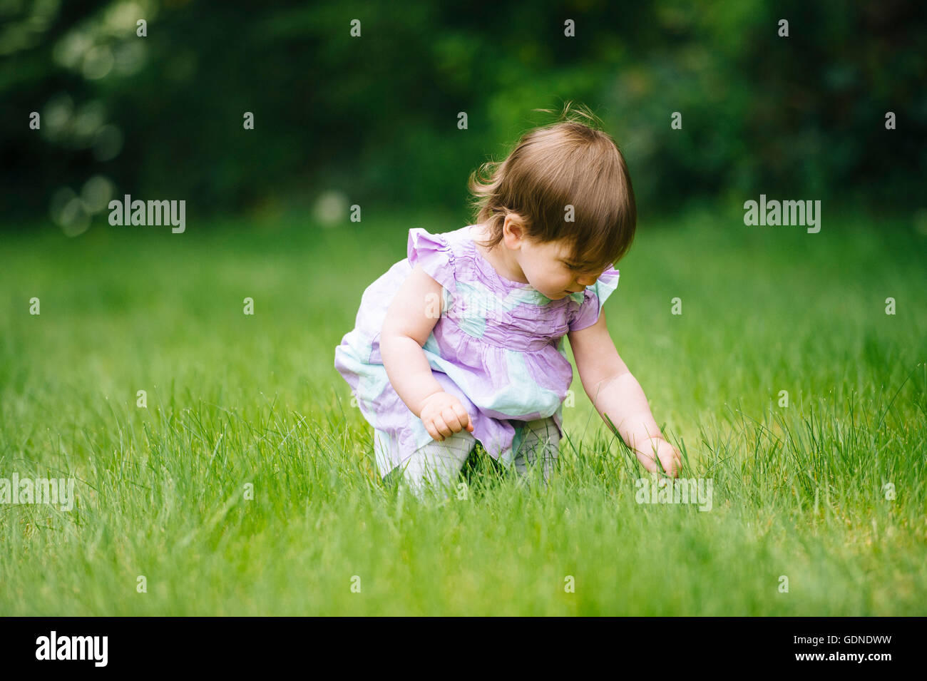 Female toddler crouching and peering at park grass Stock Photo - Alamy