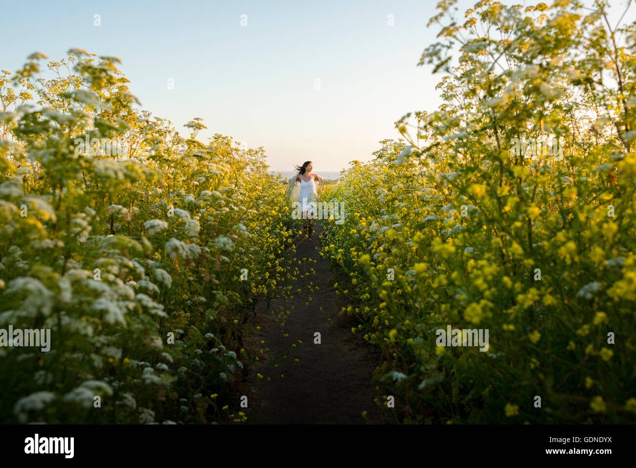 Woman walking through field of wildflowers Stock Photo - Alamy