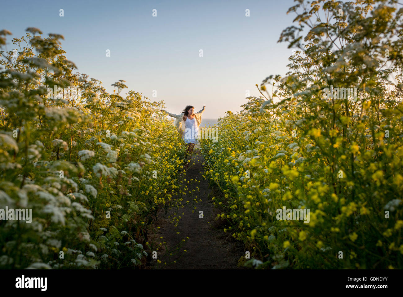 Woman walking through field of wildflowers Stock Photo - Alamy