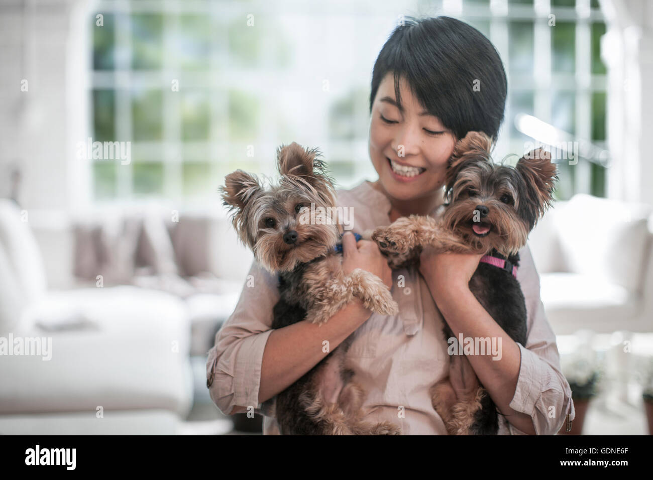 Happy animals hugging hi-res stock photography and images - Alamy