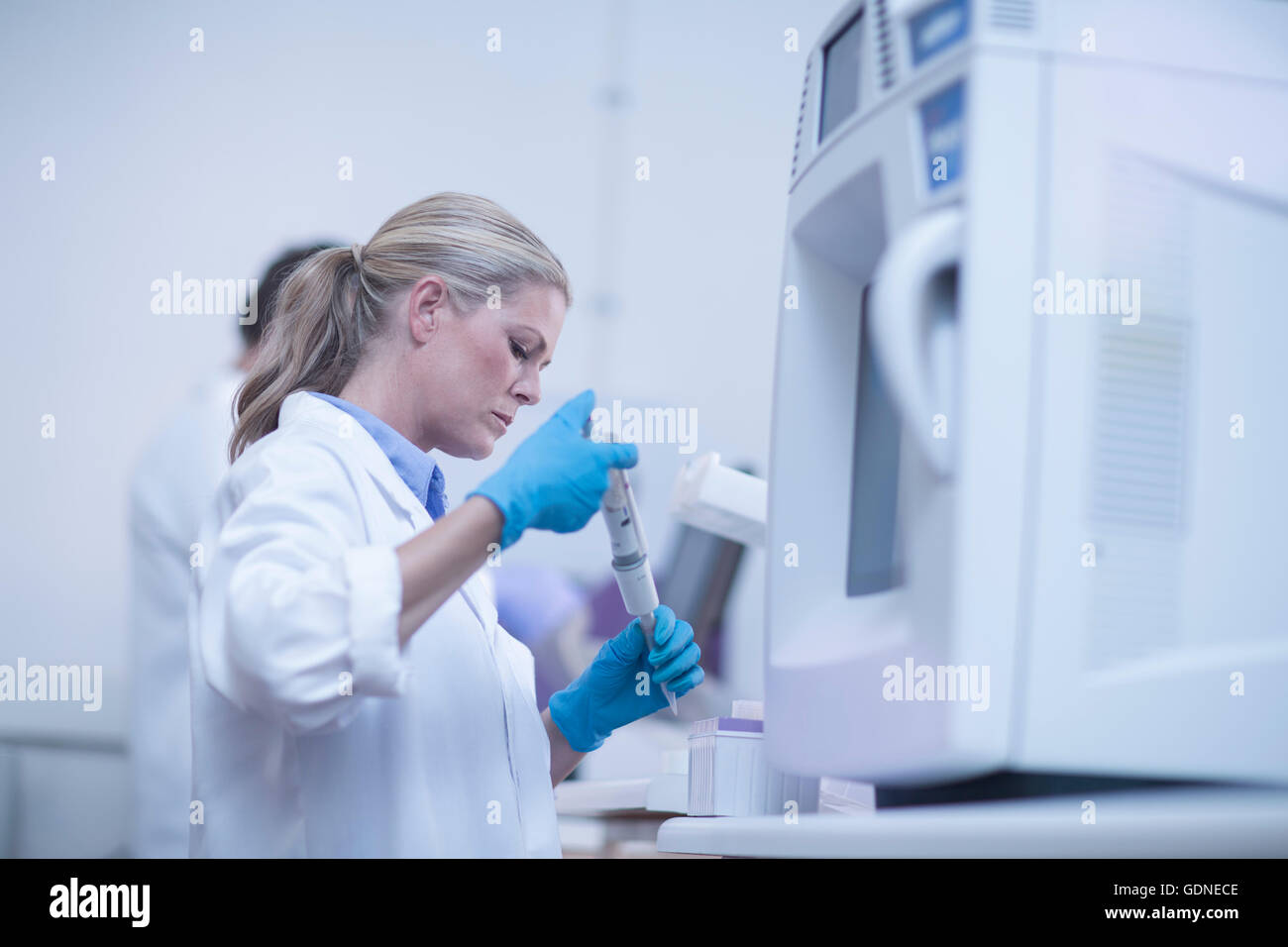 Mid adult woman inserting test tube in laboratory Stock Photo - Alamy