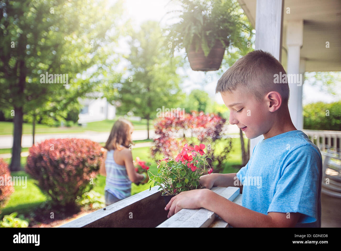 Boy planting tree hi-res stock photography and images - Alamy