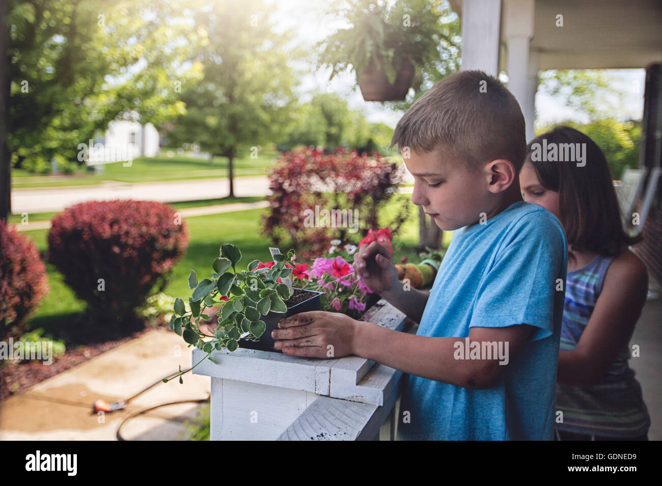 Boy planting tree hi-res stock photography and images - Alamy