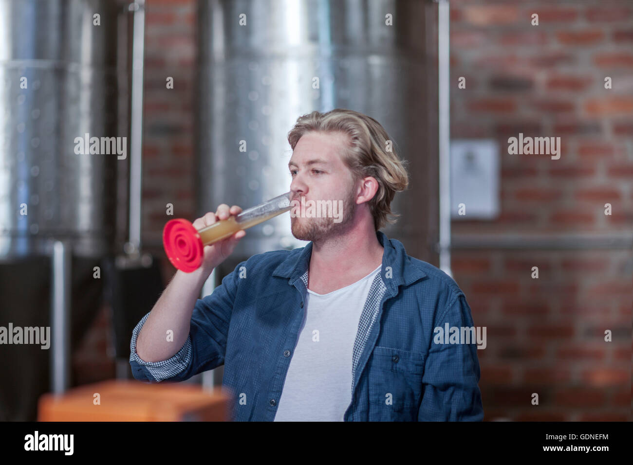 Man in microbrewery quality checking craft beer Stock Photo - Alamy