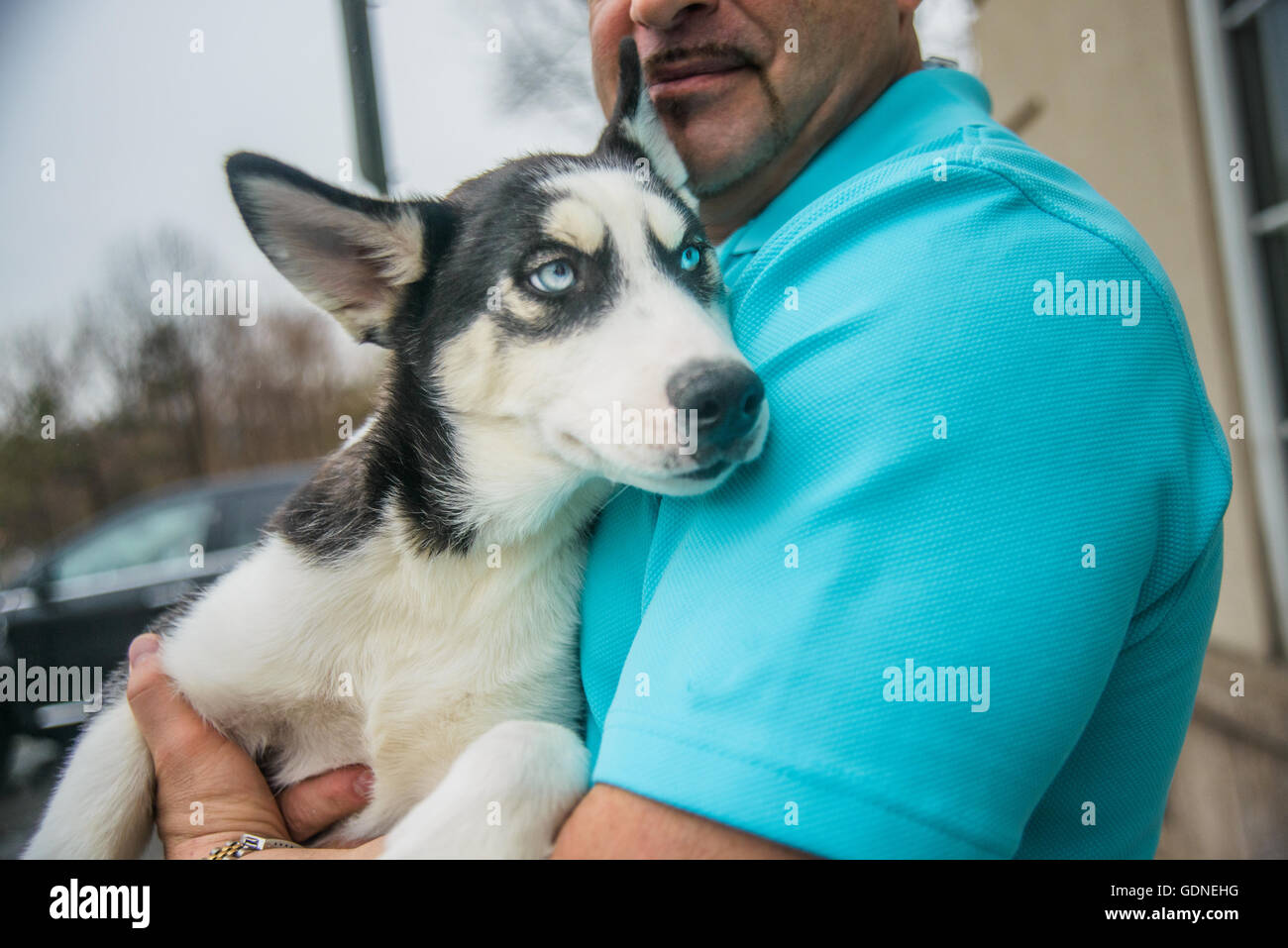Mature man holding puppy Stock Photo - Alamy