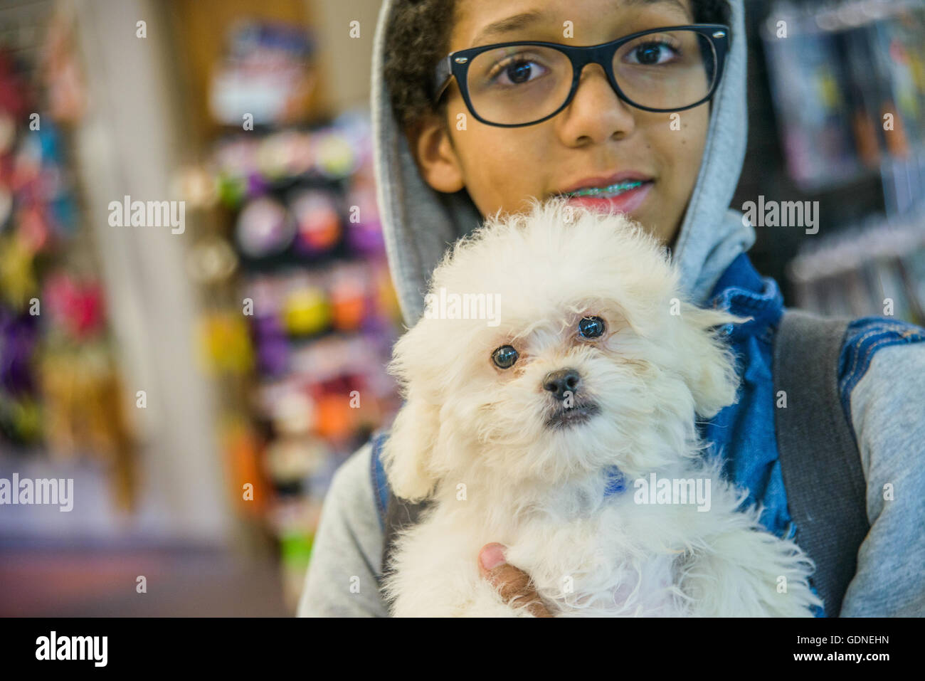 Boy holding puppy Stock Photo - Alamy