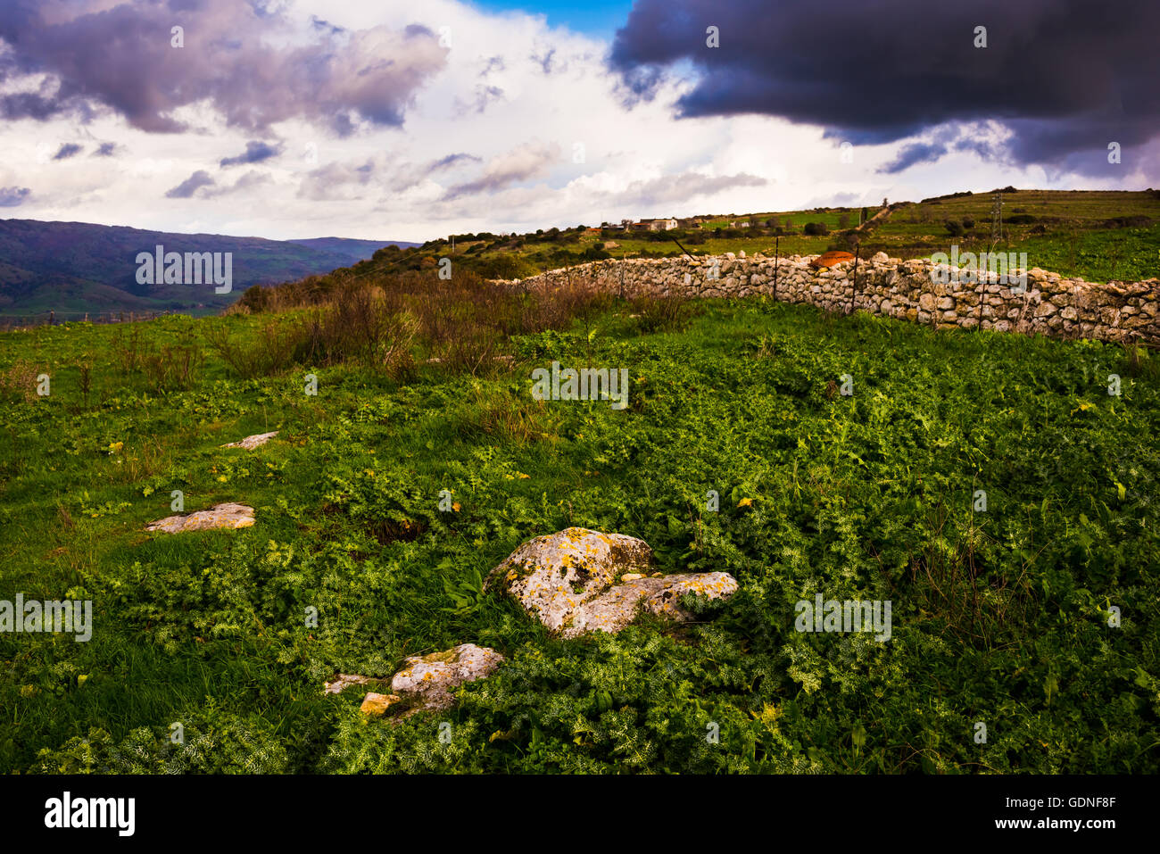 Sardinia countryside view with stone wall and green pasture - nature ...