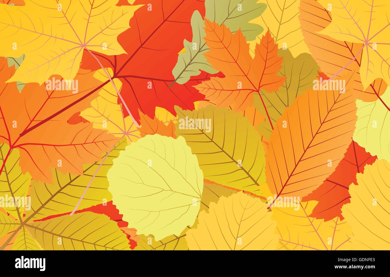 Leaves autumn vector background for poster or card Stock Vector Image ...