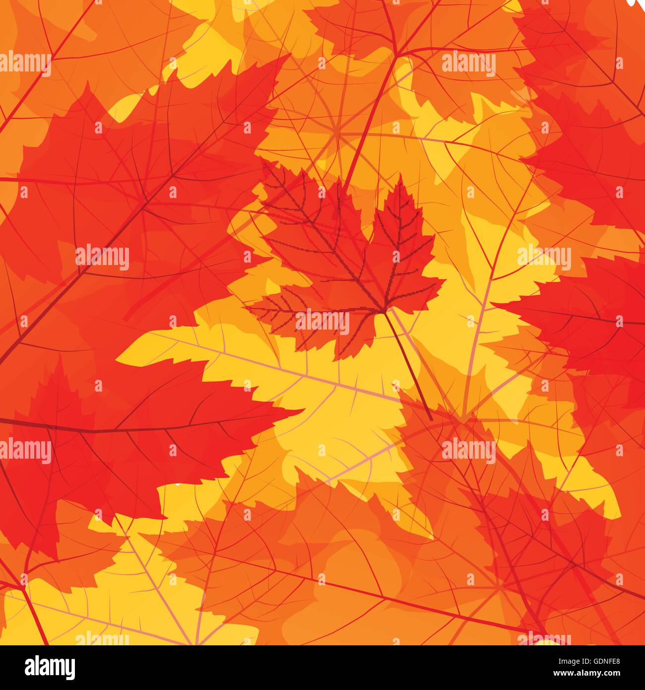 Leaves autumn vector background for poster or card Stock Vector Image ...