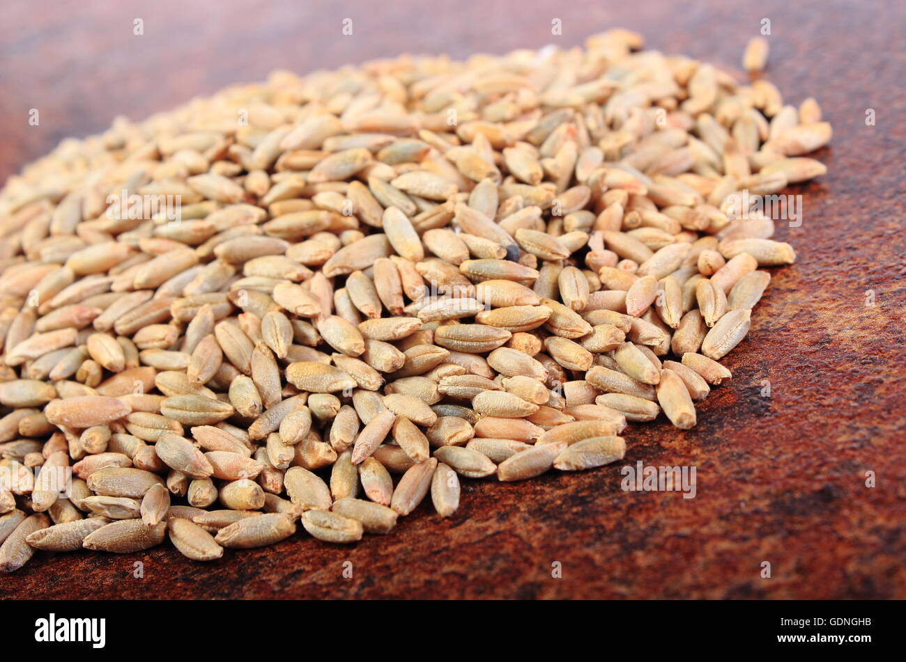 Heap of organic whole rye grain Stock Photo - Alamy