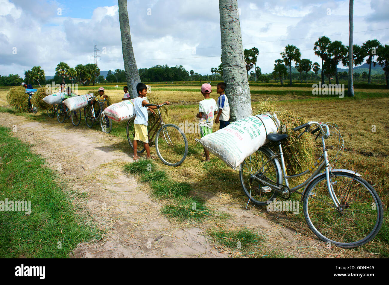 Child labor at Asia countryside Stock Photo - Alamy