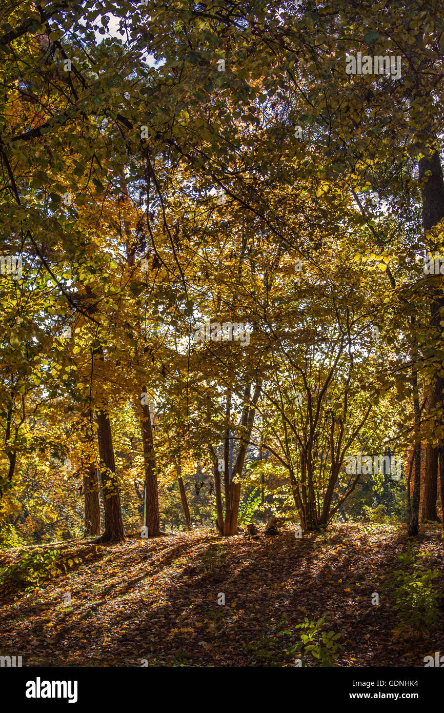 Stockholm sweden fall colors in hi-res stock photography and images - Alamy