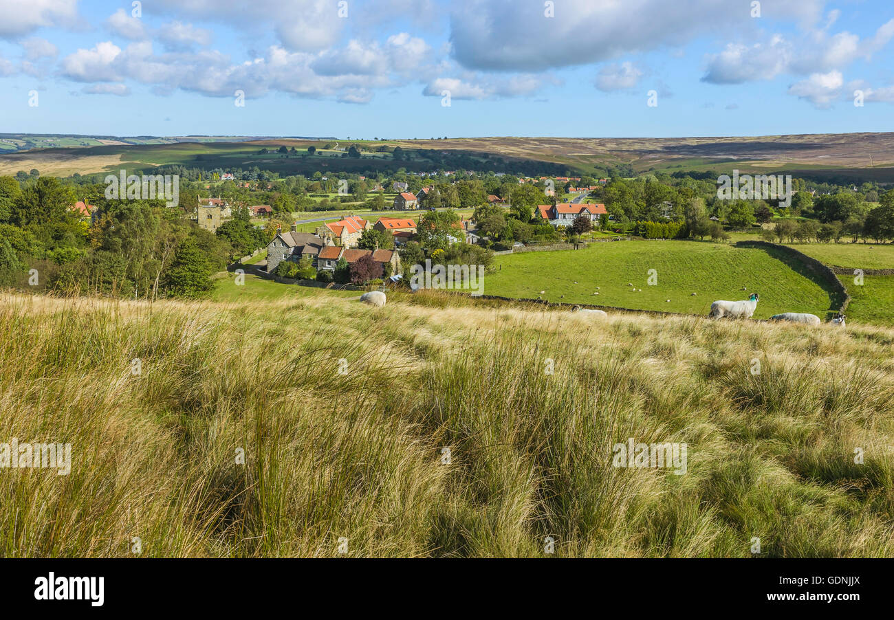 View of Goathland village from across the rolling landscape of the ...