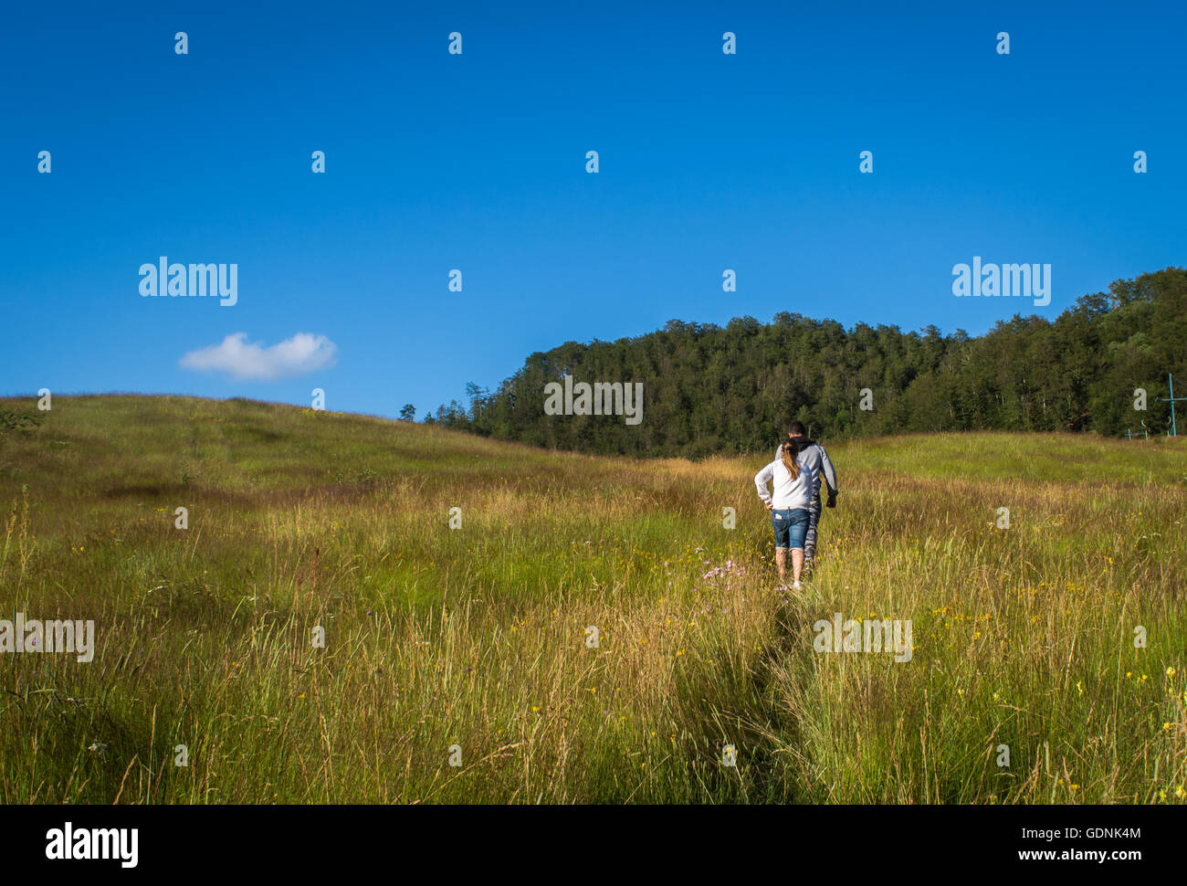 Beautiful view walking through field hi-res stock photography and ...