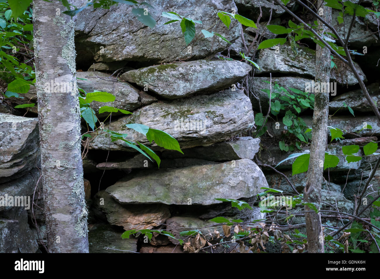 Ancient stone wall discovered in the forest Stock Photo - Alamy