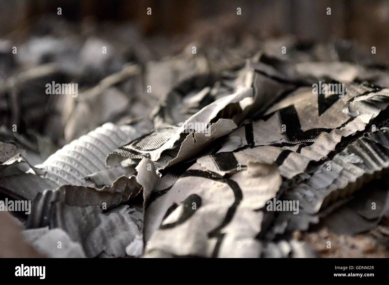 Leftovers of burned pizza box Stock Photo - Alamy
