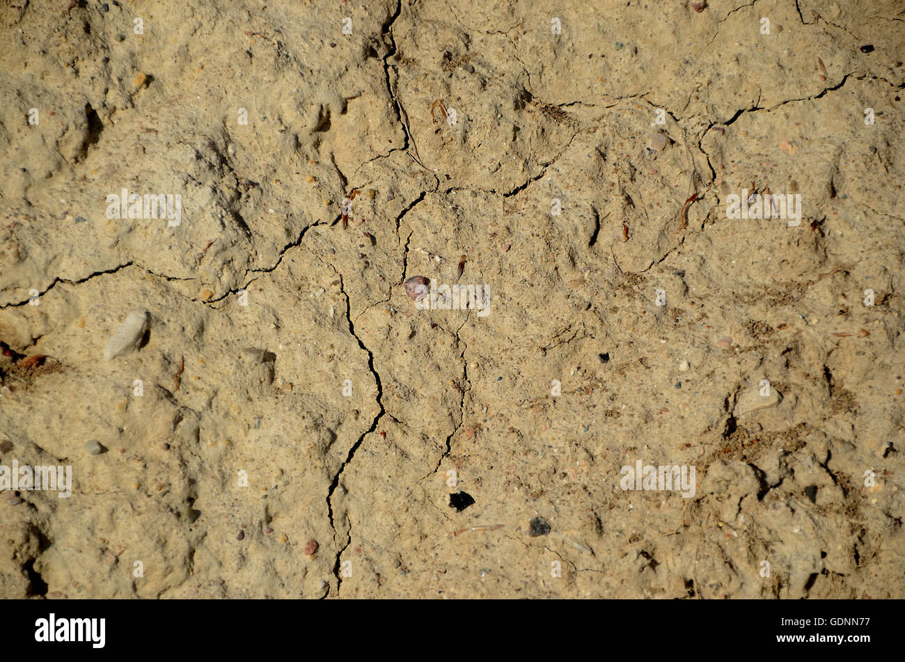 Drought surface hi-res stock photography and images - Alamy