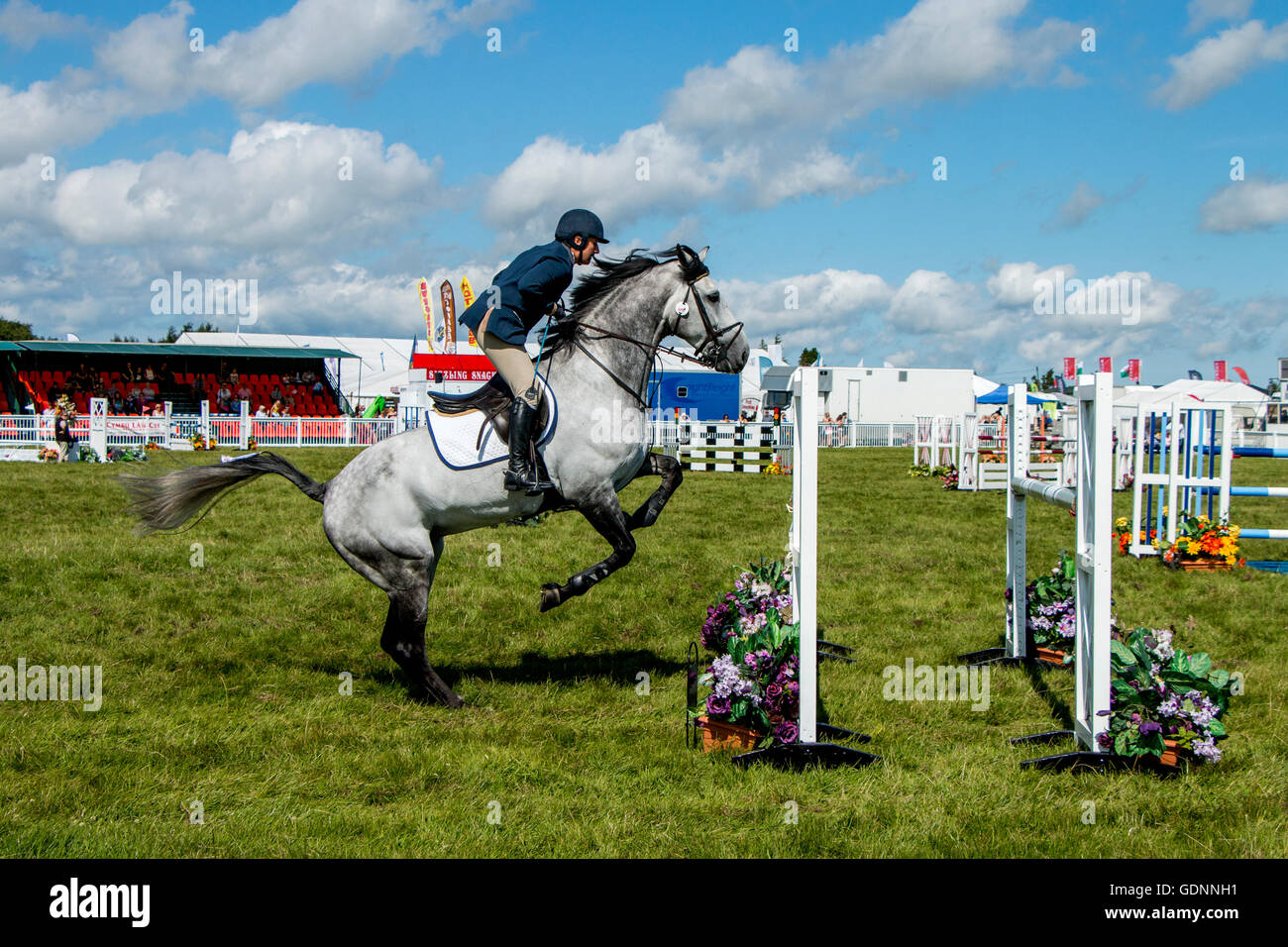 Anglesey show hi-res stock photography and images - Alamy