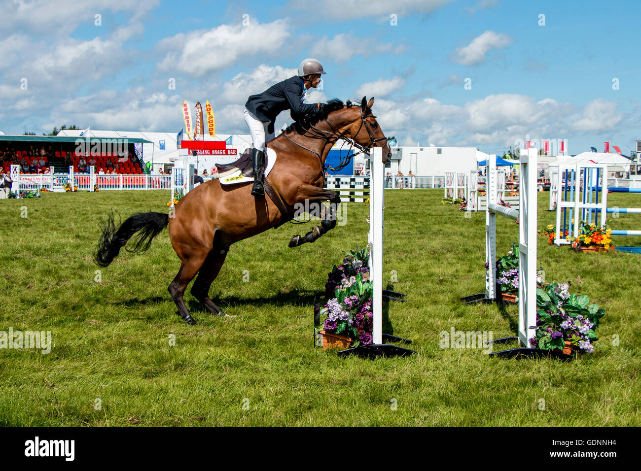 Bridle show hi-res stock photography and images - Alamy