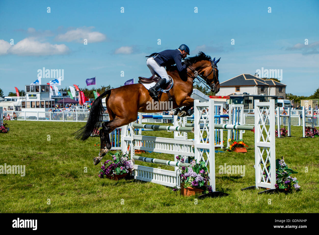 Anglesey show hi-res stock photography and images - Alamy
