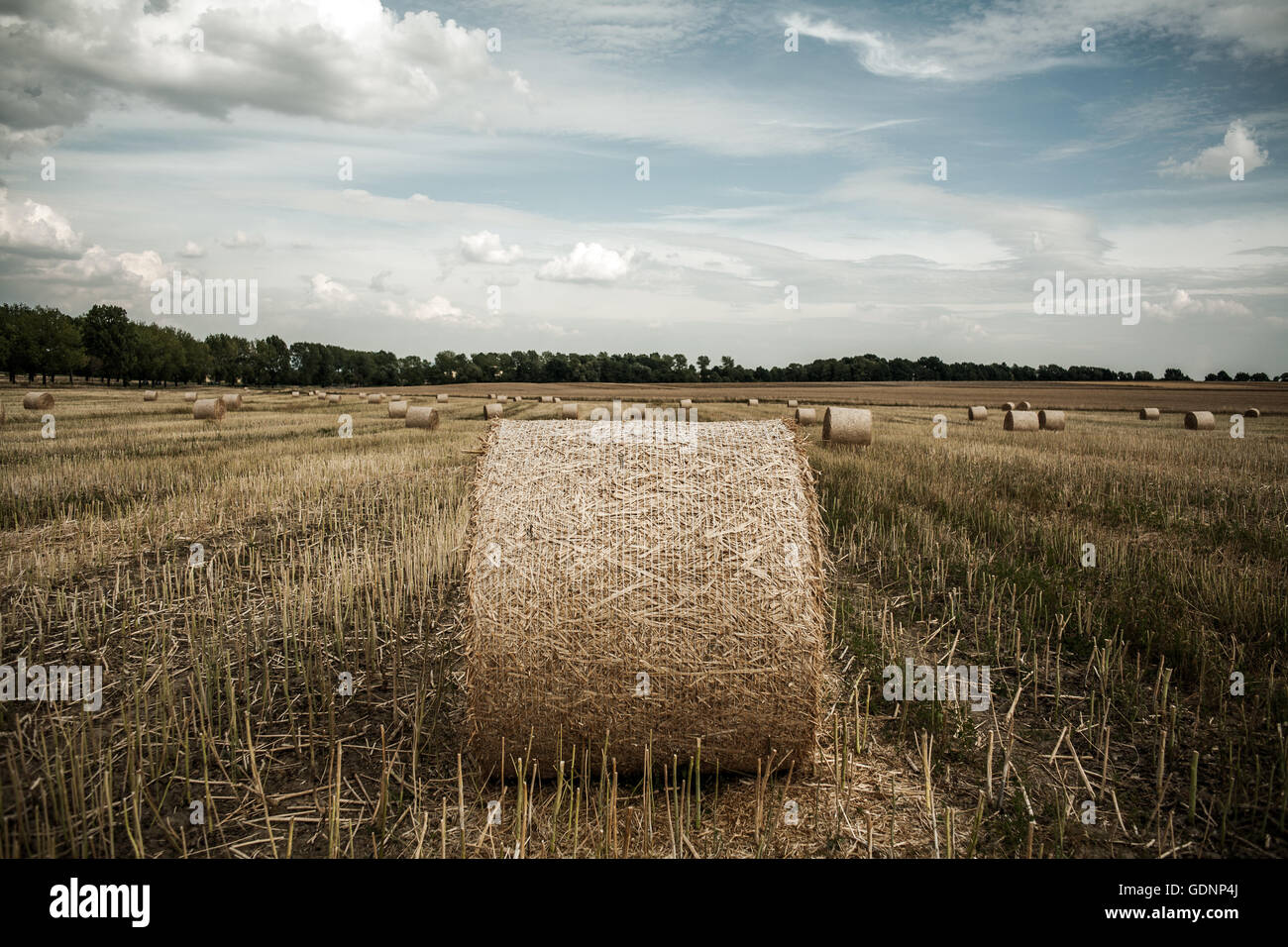 Rolled up straw hi-res stock photography and images - Alamy