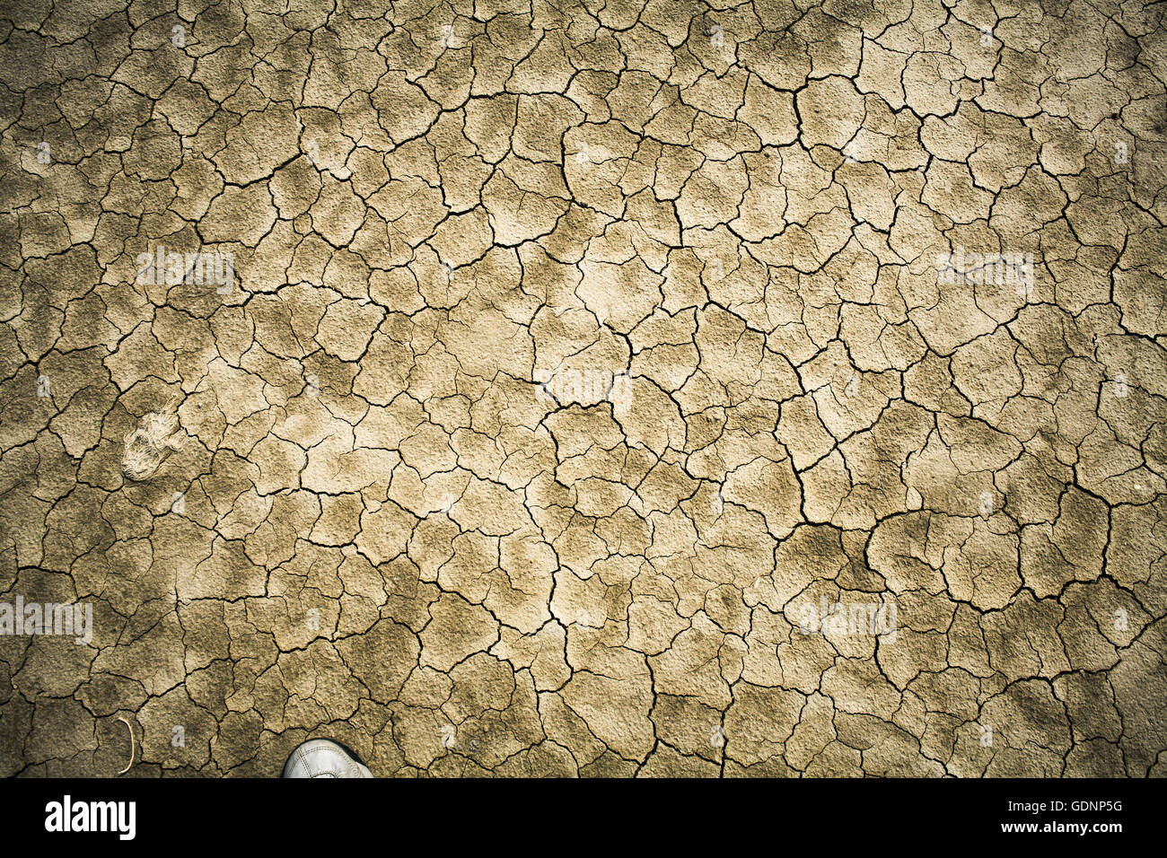 Dry cracked surface of the earth Stock Photo - Alamy