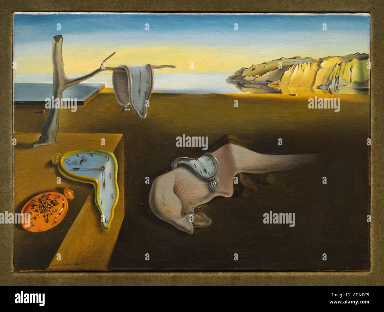 The Persistence of Memory, Salvador Dali, 1931 Stock Photo - Alamy