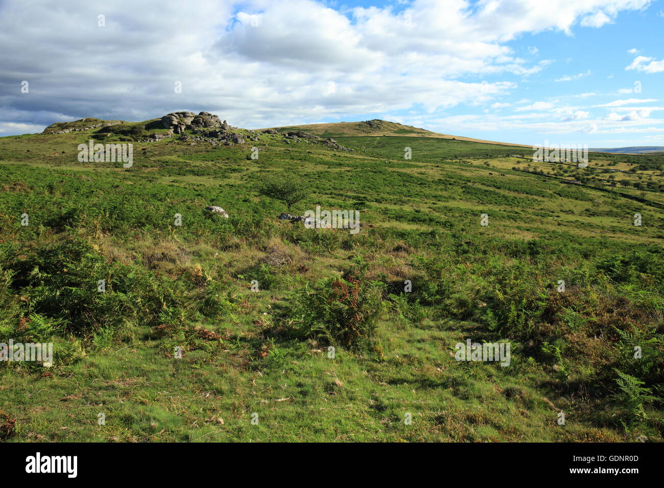 Saddle tor, Dartmoor national park, Devon, England, UK Stock Photo - Alamy