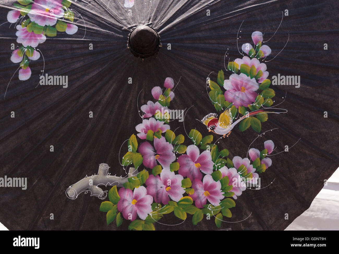 Chinese paper flower hi-res stock photography and images - Alamy