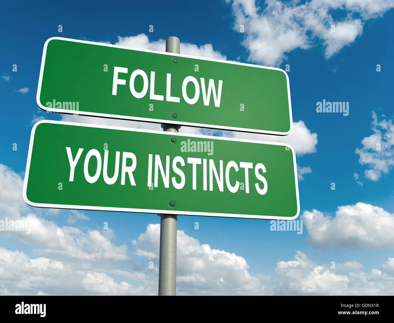 A road sign with follow you instincts words on sky background Stock ...