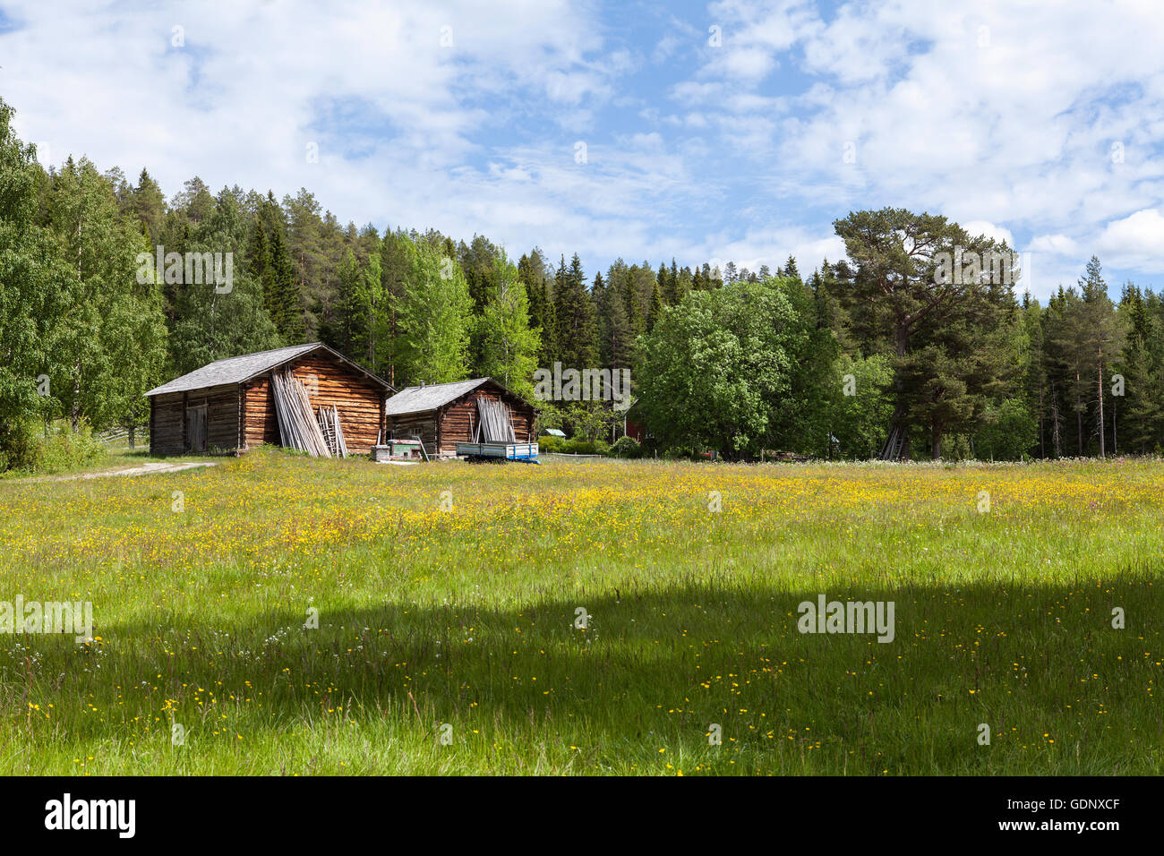 Wooden barn, timber building beyond wildflowers. Colorful rural ...