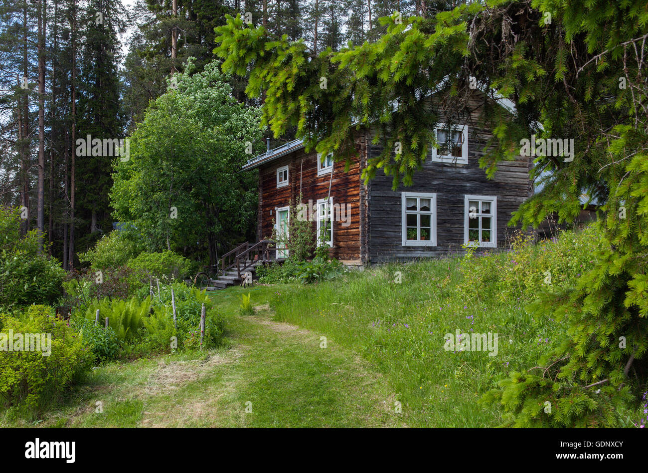 Wooden timber building, homestead in a forest. Trees and garden on the ...