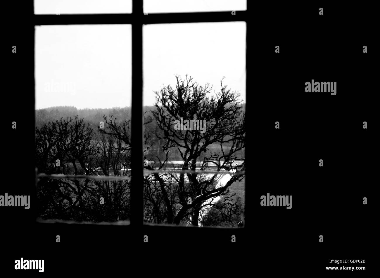 Window, Windows, Casement, Window frame Stock Photo - Alamy