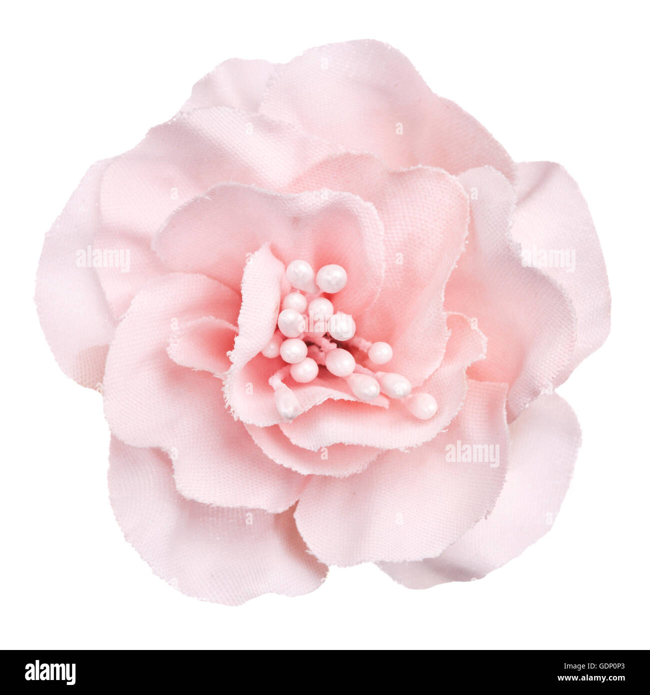white flower head isolated, beautiful decoration,top view Stock Photo ...