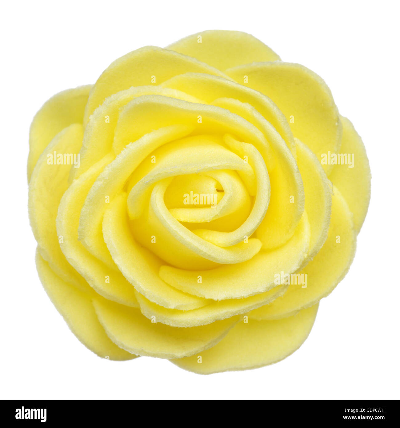 yellow flower head isolated, beautiful decoration,top view Stock Photo ...