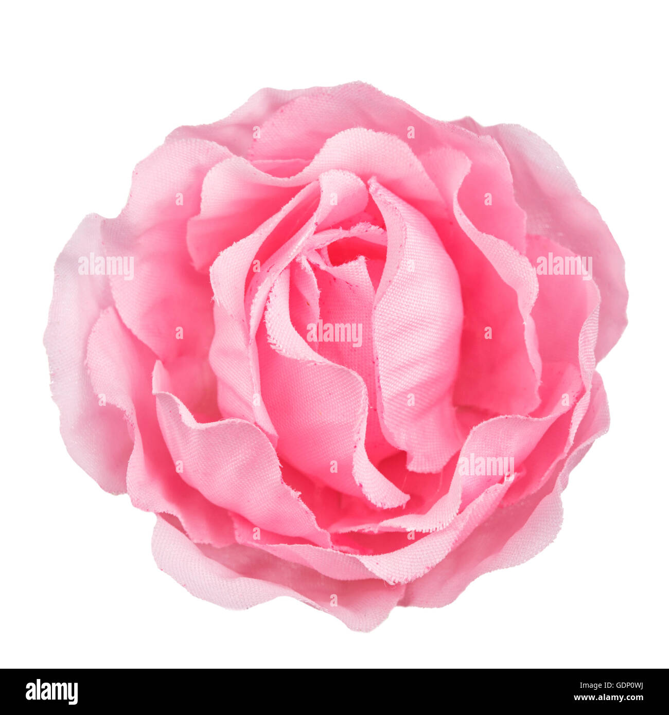 pink flower head isolated, beautiful decoration,top view Stock Photo ...