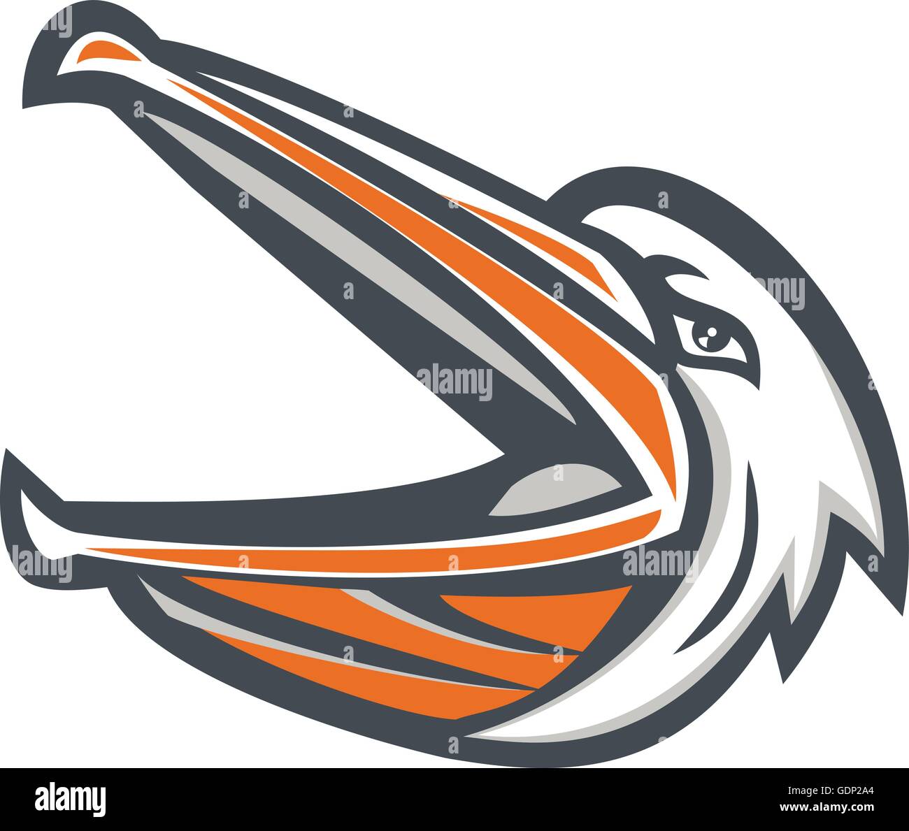 Illustration of a head of an angry pelican shouting viewed from the ...