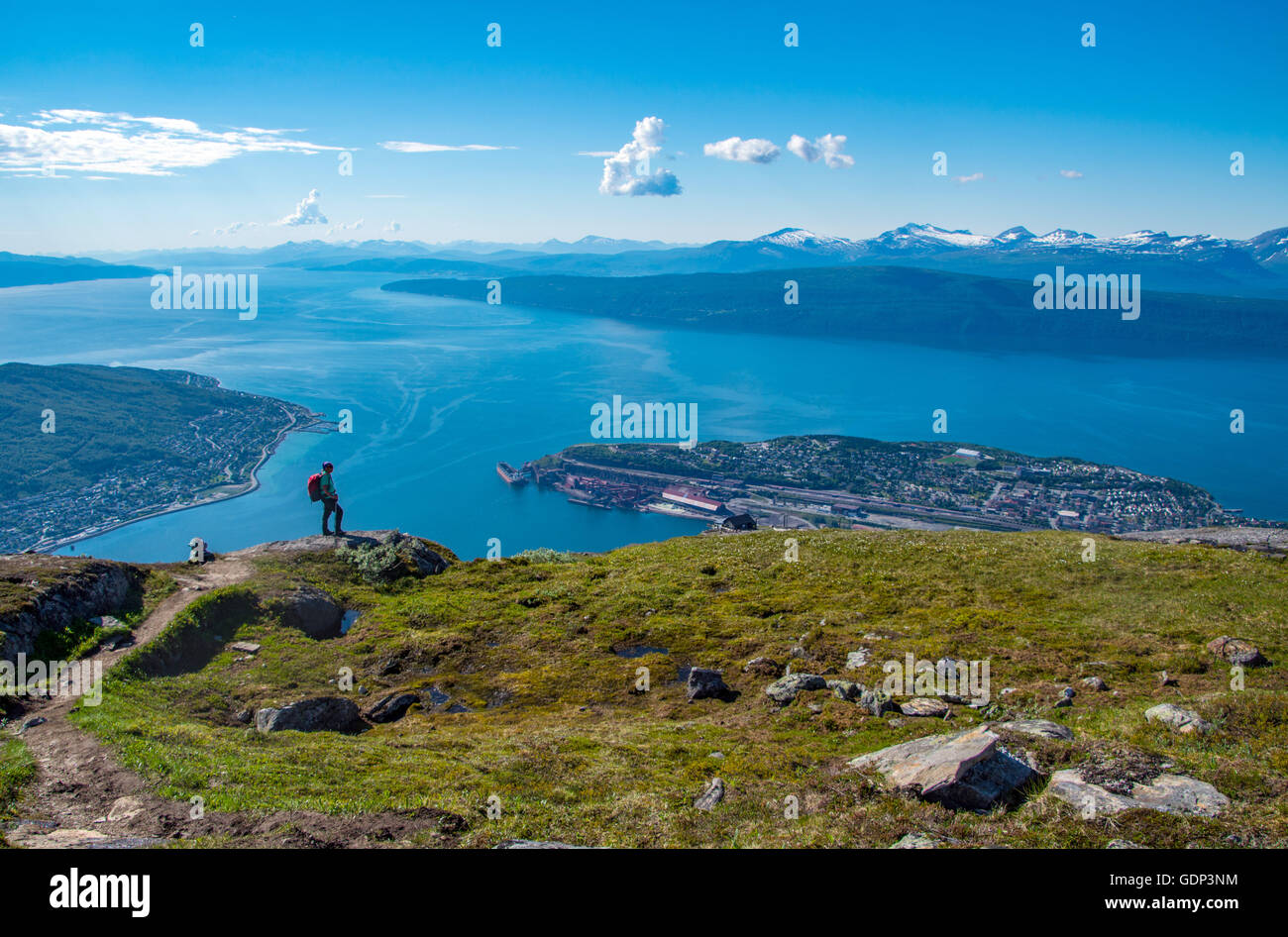 Solitary female walker above Ofotfjord, Narvik, Norway Stock Photo - Alamy