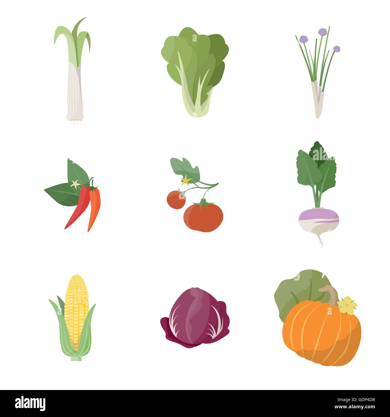 Leek growing garden Stock Vector Images - Alamy