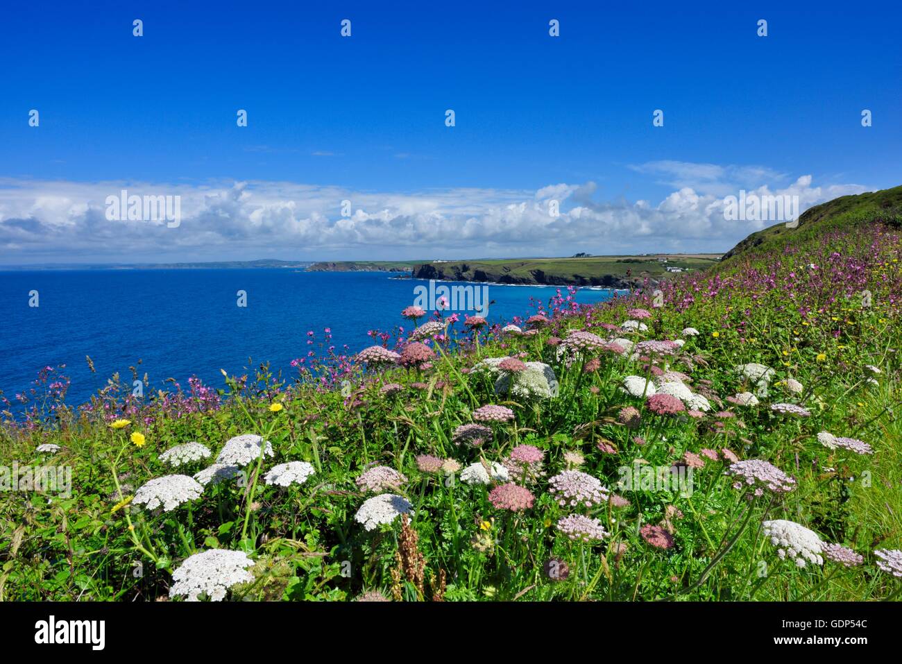 Mullion cornwall hi-res stock photography and images - Alamy
