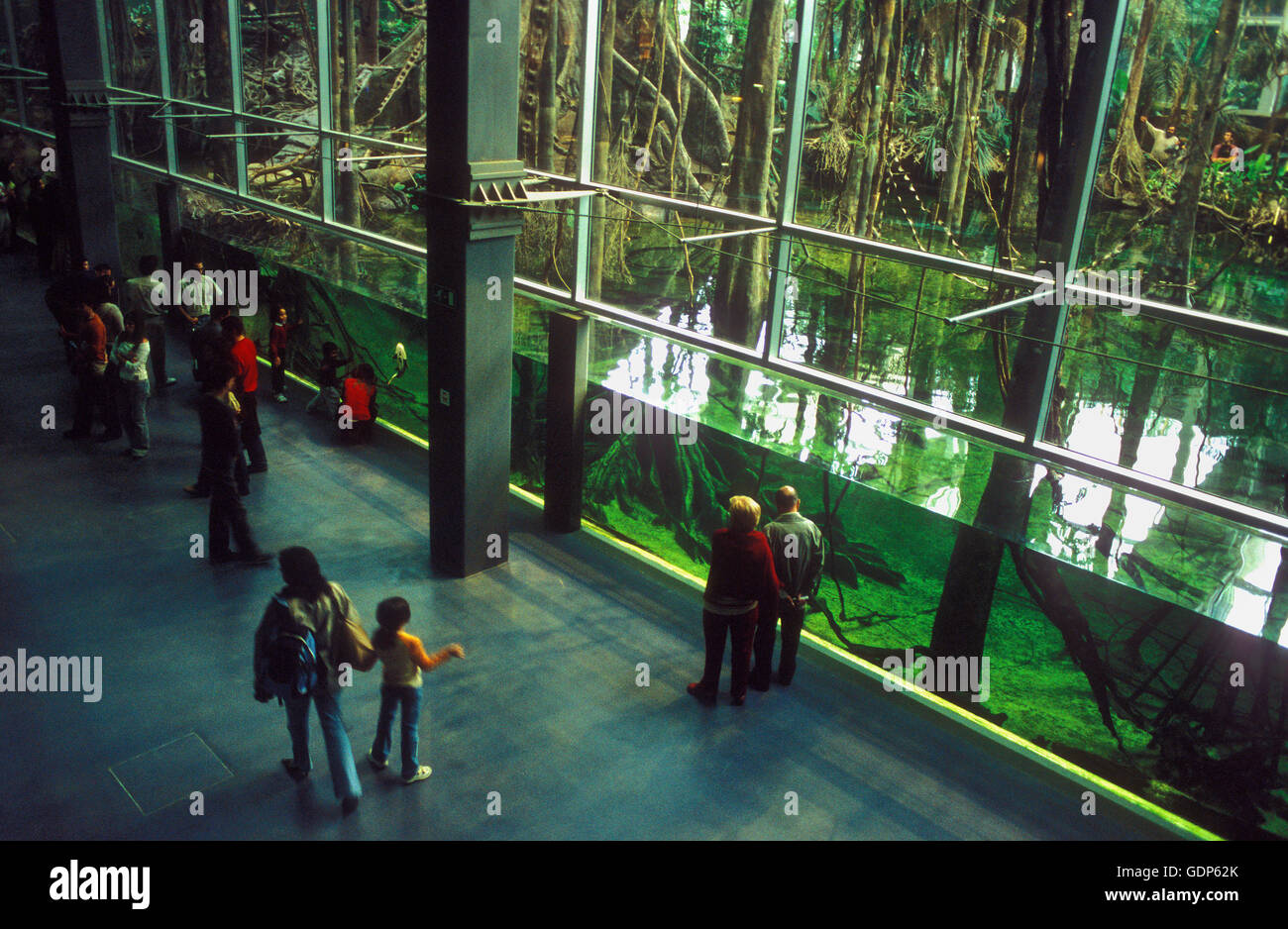 Museum of the science (Cosmocaixa). Forest flooded (Bosque inundado ...