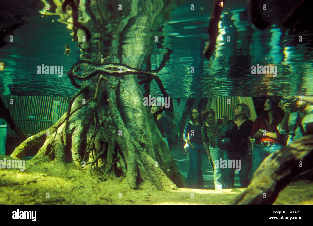 Museum of the science (Cosmocaixa). Forest flooded (Bosque inundado ...