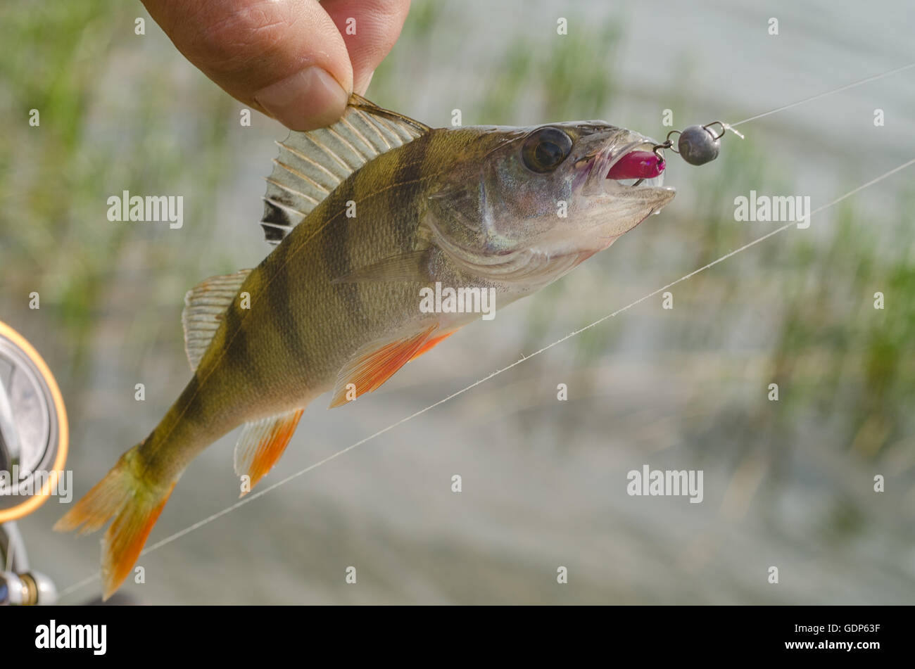 Red river jig hi-res stock photography and images - Alamy
