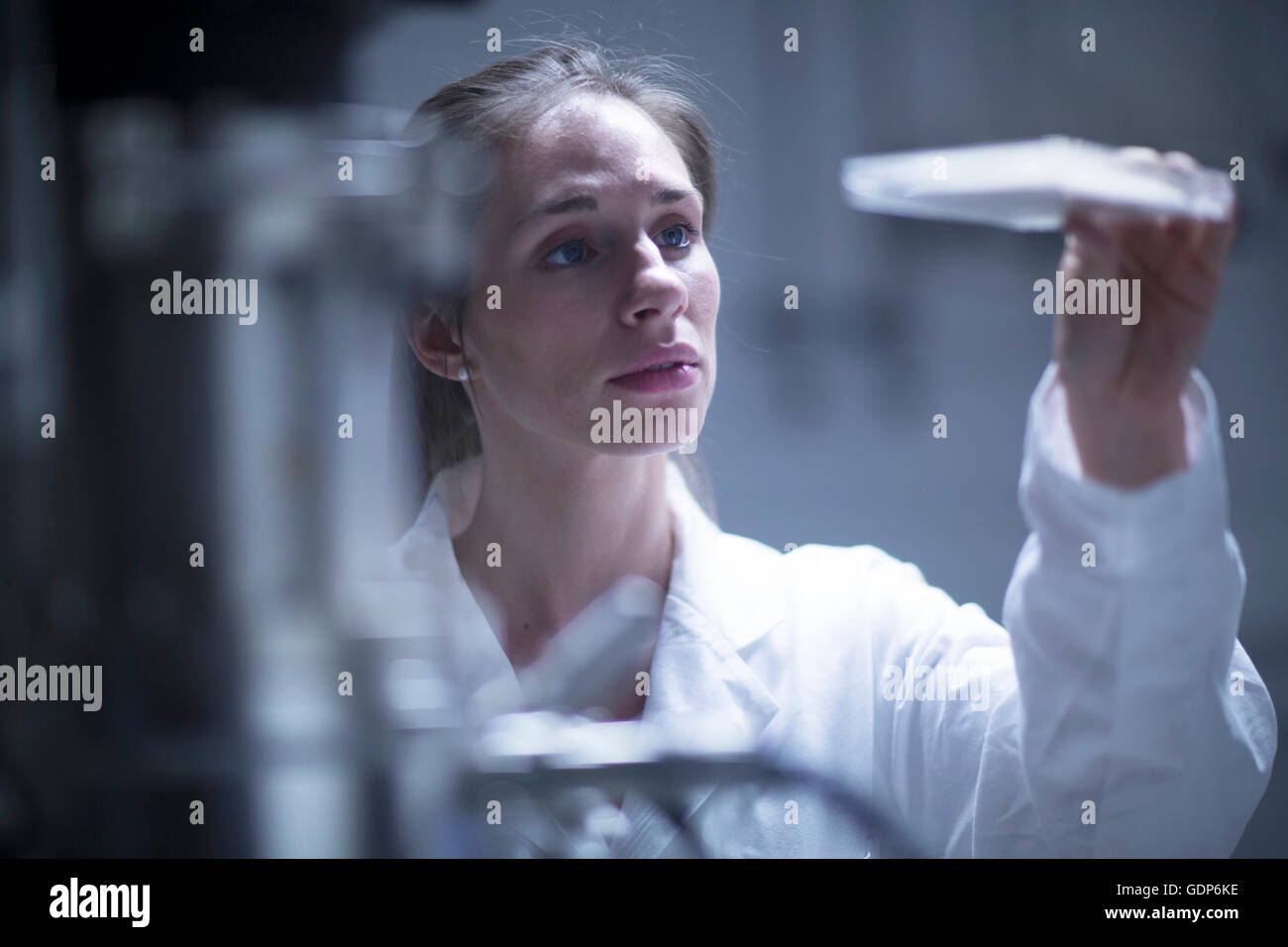 Scientist using an electron microscope hi-res stock photography and ...