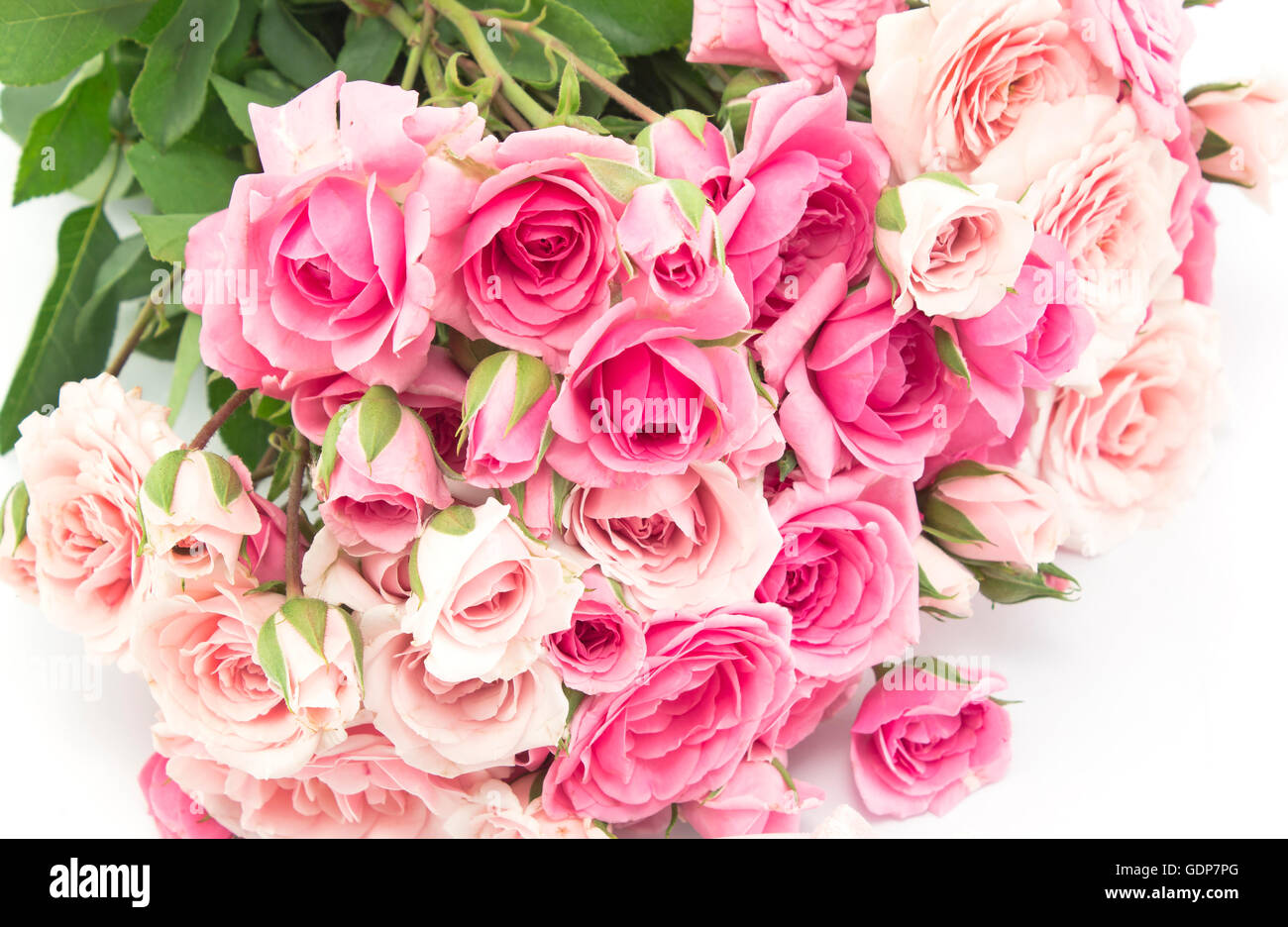 White pink roses background hi-res stock photography and images - Alamy