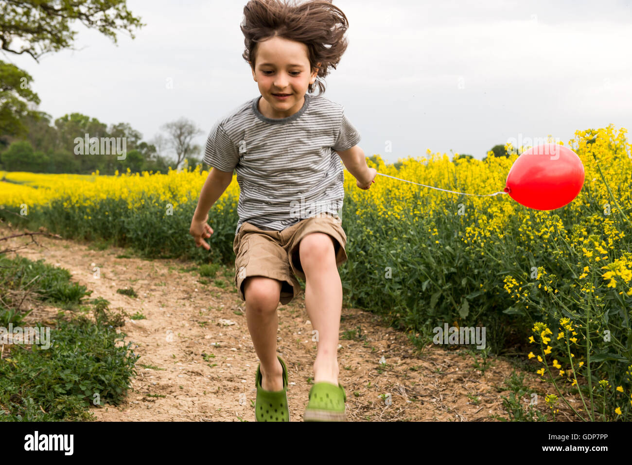 Boy jumping on yellow flower field track pulling red balloon Stock ...