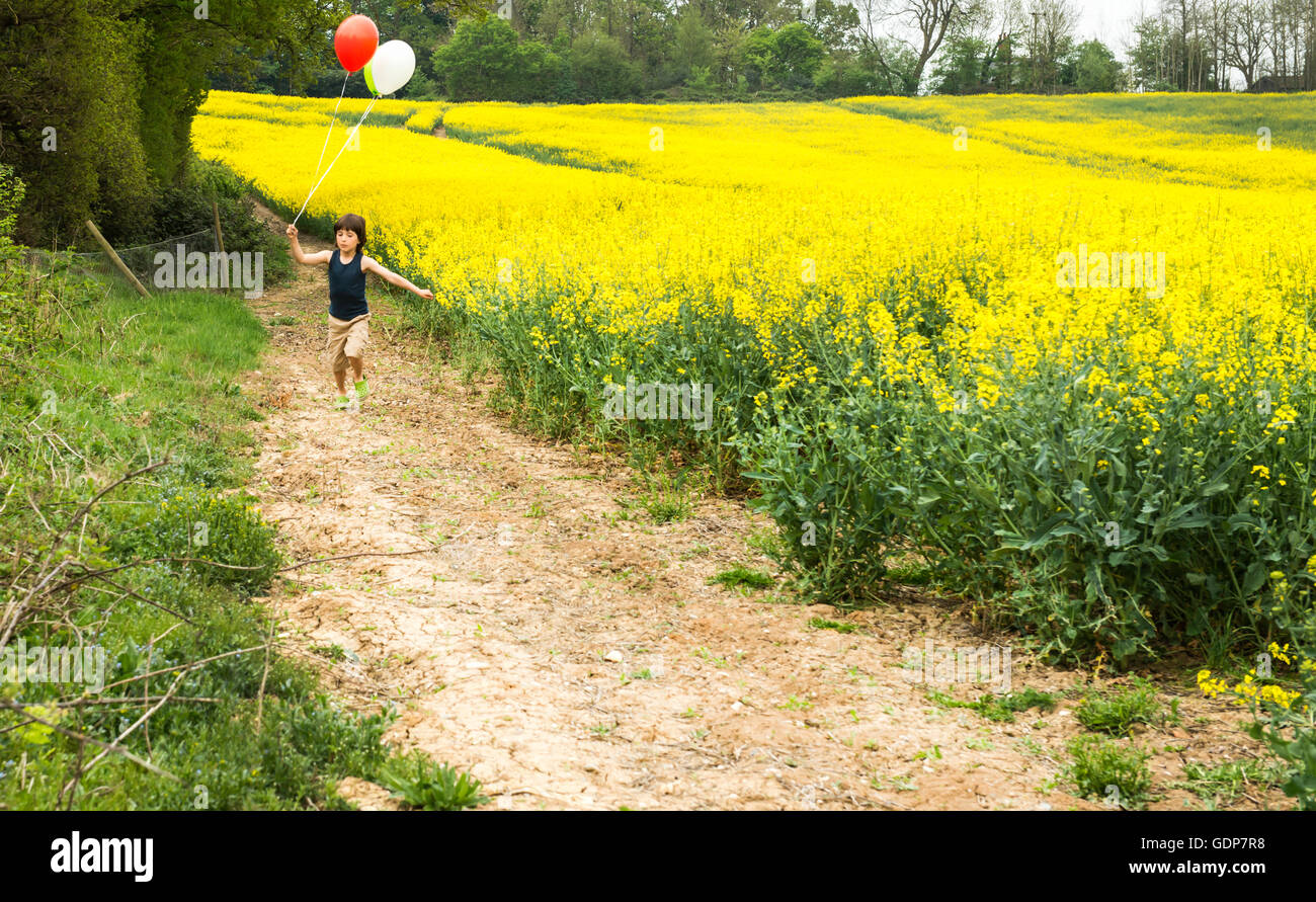 Boy running along yellow flower field track pulling red and white ...