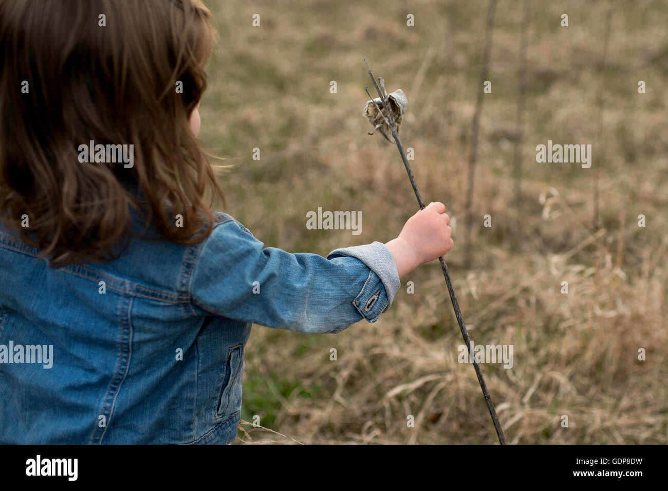 Young girl picking a weed in meadow, rear view Stock Photo - Alamy